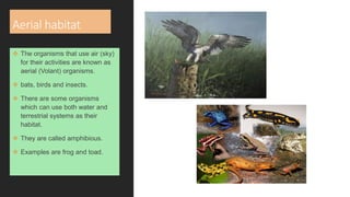 Major habitat type of sub continent | PPTX