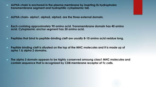 Major histocompactibility complex | PPTX