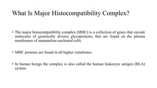 Major histocompatibility complex CH.U | PPT