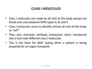 Major histocompatibility complex | PPT