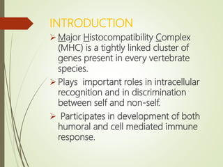 Major histocompatibility complex | PPTX