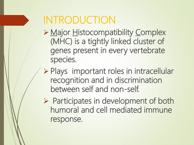 Major histocompatibility complex | PPTX | Genetics | Science