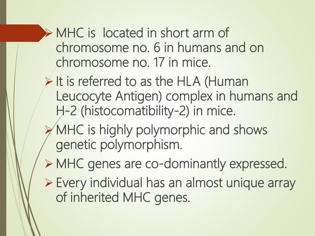 Major histocompatibility complex | PPTX | Genetics | Science