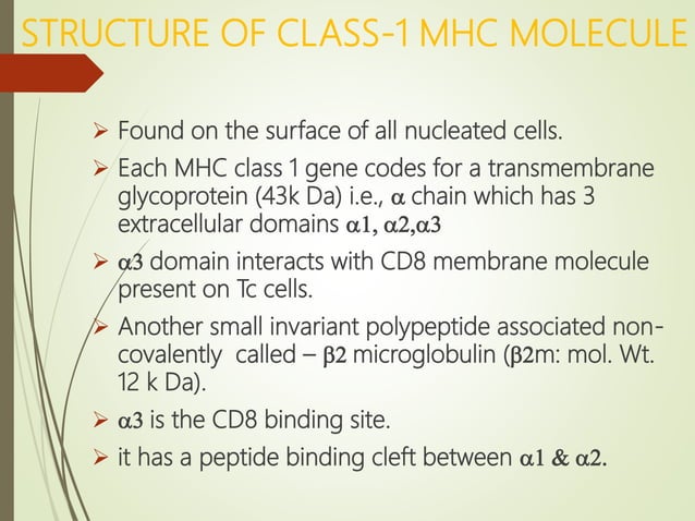 Major histocompatibility complex | PPTX | Genetics | Science