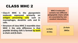 MAJOR HISTOCOMPATIBILITY COMPLEX by Pranzly.ppt