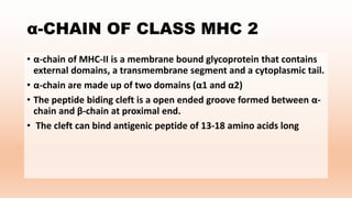 MAJOR HISTOCOMPATIBILITY COMPLEX by Pranzly.ppt