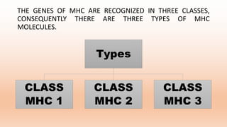 MAJOR HISTOCOMPATIBILITY COMPLEX by Pranzly.ppt