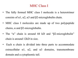 Major Histocompatibility Complex.ppt