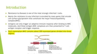 THE MAJOR HISTOCOMPATIBILITY COMPLEX.pptx
