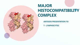 MAJOR HISTOCOMPATIBILITY COMPLEX.pptx immunology lecture | PPTX