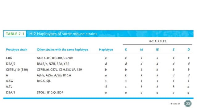 Major histocompatibility complex and antigen presentation & processing | PPT