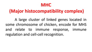 MAJOR HISTOCOMPATIBILITY COMPLEX AND HEAT SHOCK PROTEIN | PPTX