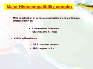 MAJOR HISTOCOMPATIBILITY COMPLEX M.MANIKANDAN.pptx