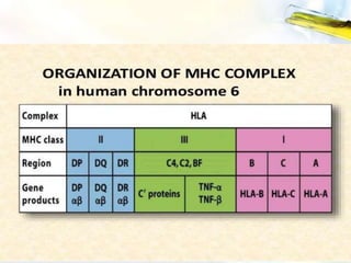 MAJOR HISTOCOMPATIBILITY COMPLEX M.MANIKANDAN.pptx