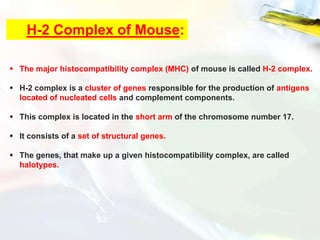 MAJOR HISTOCOMPATIBILITY COMPLEX M.MANIKANDAN.pptx