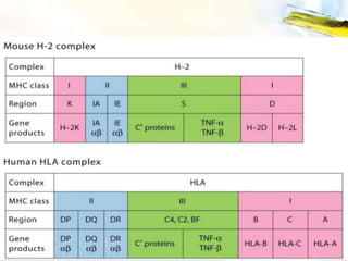 MAJOR HISTOCOMPATIBILITY COMPLEX M.MANIKANDAN.pptx