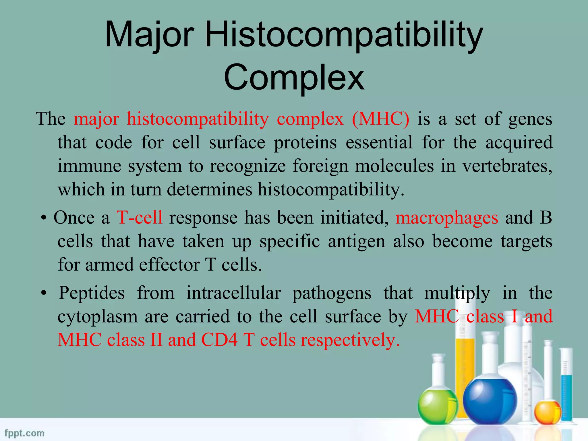 Major Histocompatibility Complex (MHC) | PPT