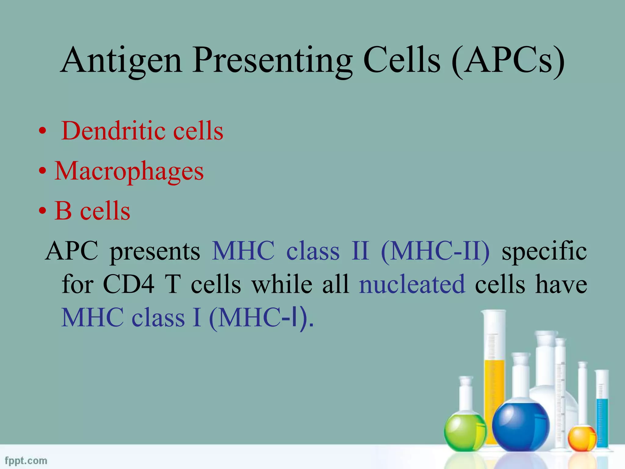 Major Histocompatibility Complex (MHC) | PPT