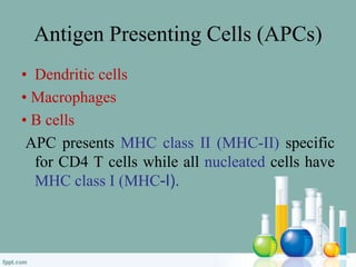 Major Histocompatibility Complex (MHC) | PPT
