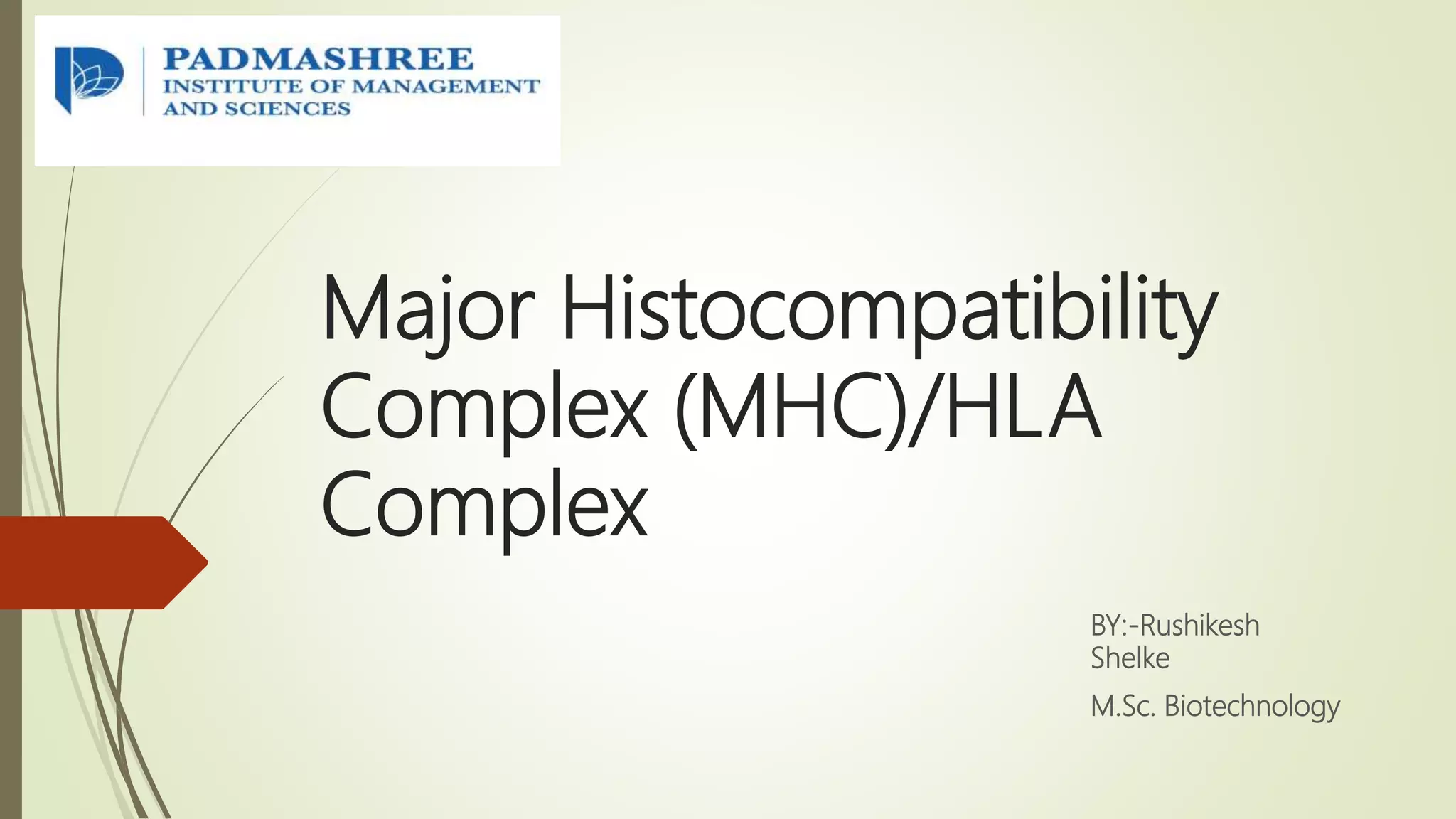 Major Histocompatibility Complex Mhc Ppt