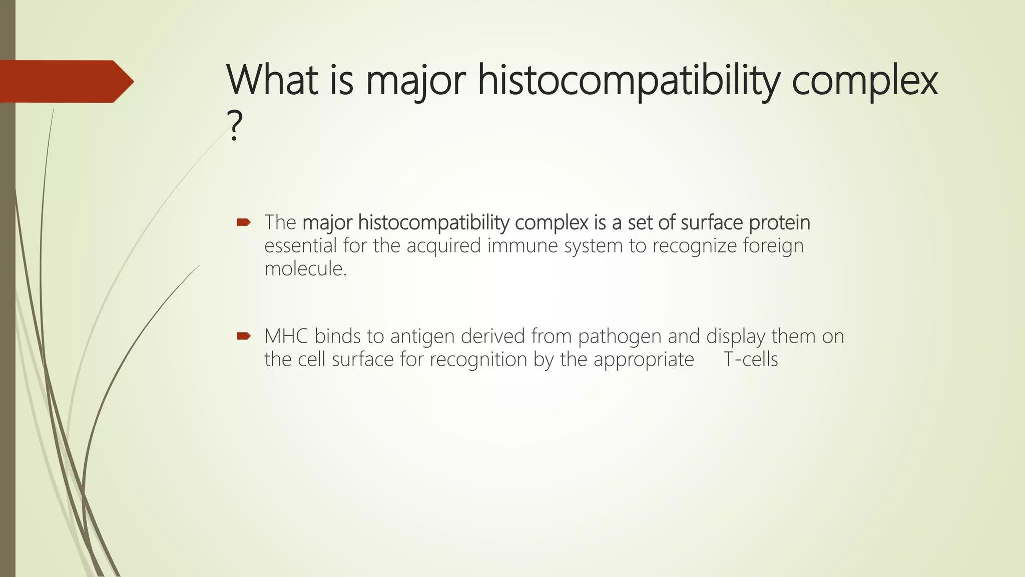 Major histocompatibility complex (mhc) | PPTX