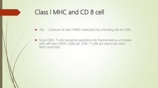Major histocompatibility complex (mhc) | PPTX
