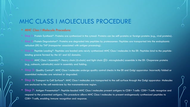 Major Histocompatibility complex immune system and immune technology | PPT