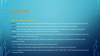 Major Histocompatibility complex immune system and immune technology | PPTX