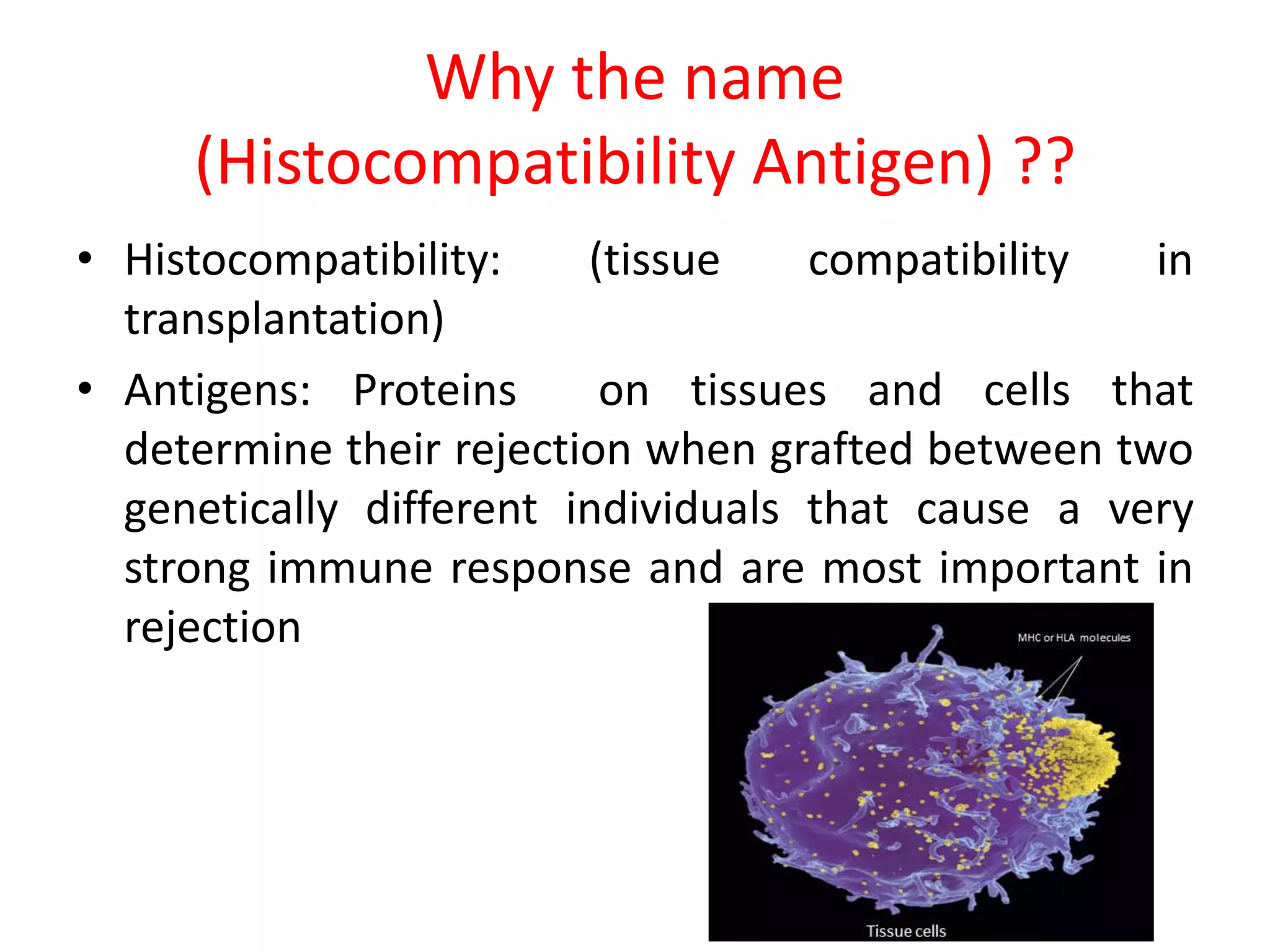 Major Histocompatibility Complex & transplantation 3rd.pptx
