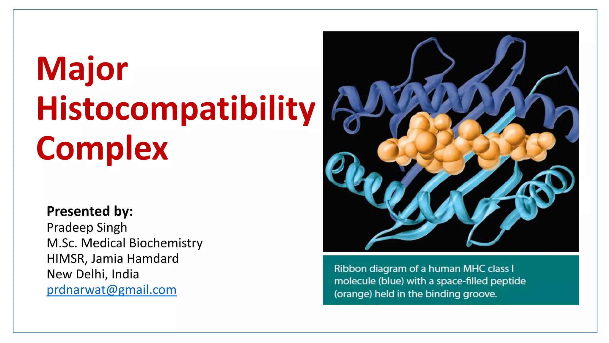 Major histocompatility complex (Antigen Presentation to T cells, Autoimmunity, Transplantation ...