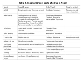 MAJOR INSECT PESTS INITIATING CITRUS DECLINE PROBLEM IN NEPAL.ppt
