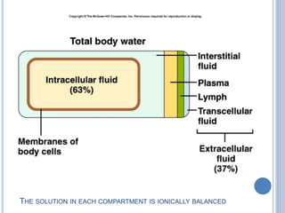 Major inta extra cellualr electrolyte. | PPTX