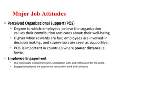 Major Job Attitudes.pptx