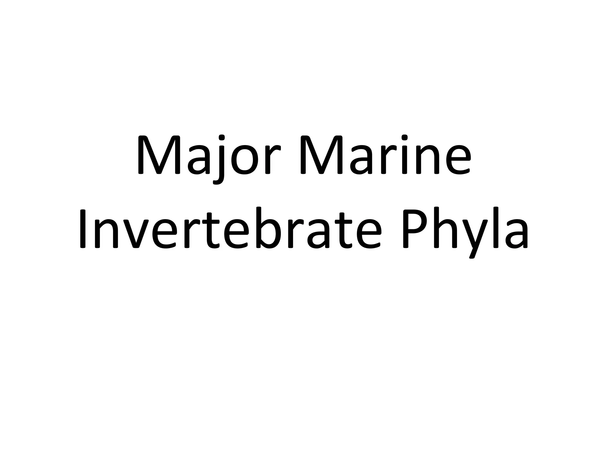 Major marine invertebrate phyla powerpoint | PPT