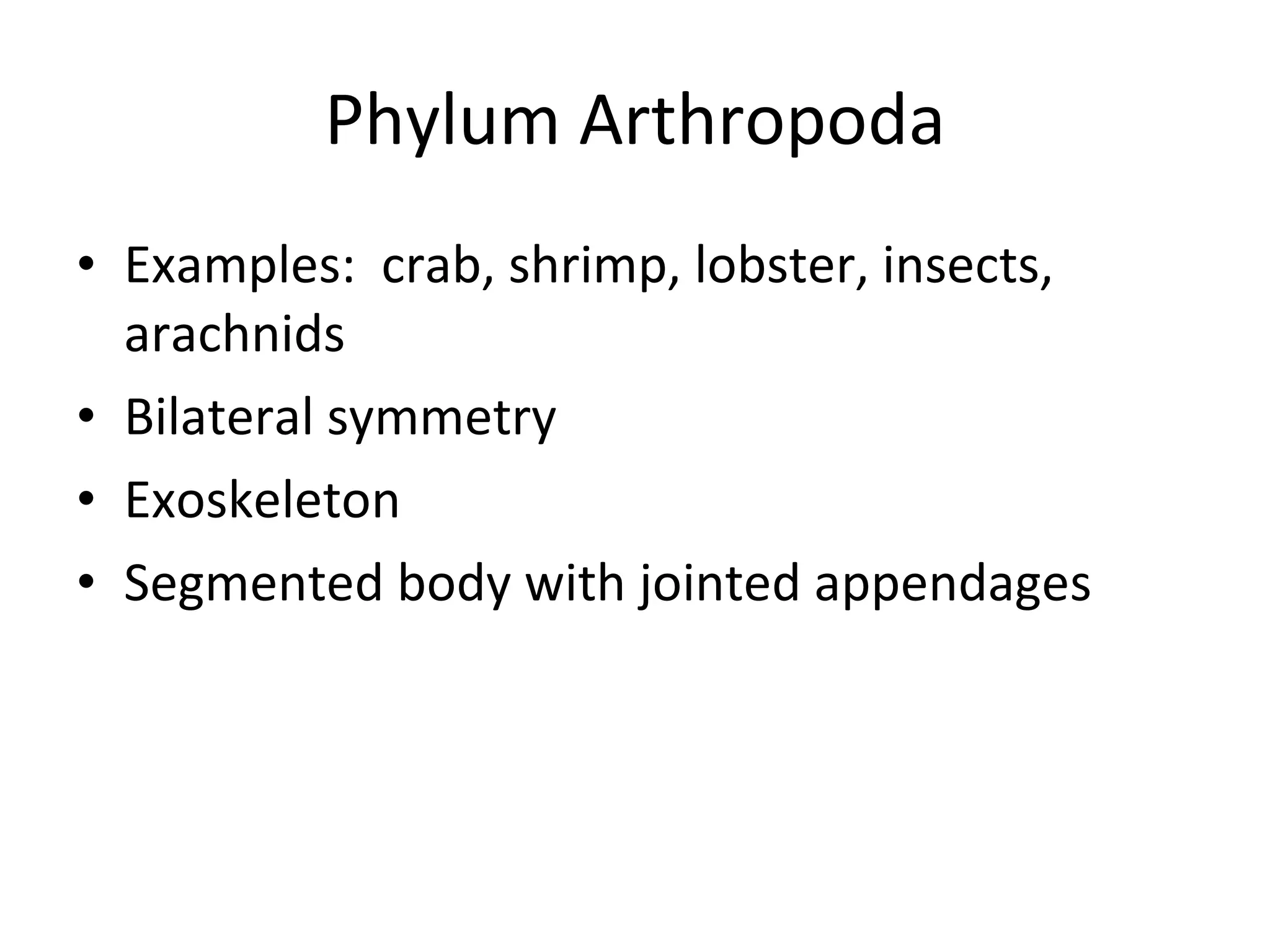 Major marine invertebrate phyla powerpoint | PPT