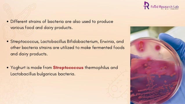 Major Microorganisms Utilized In The Food And Beverage Sector.pdf