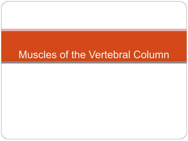 Major Muscles CYQ Level 3 | PPT