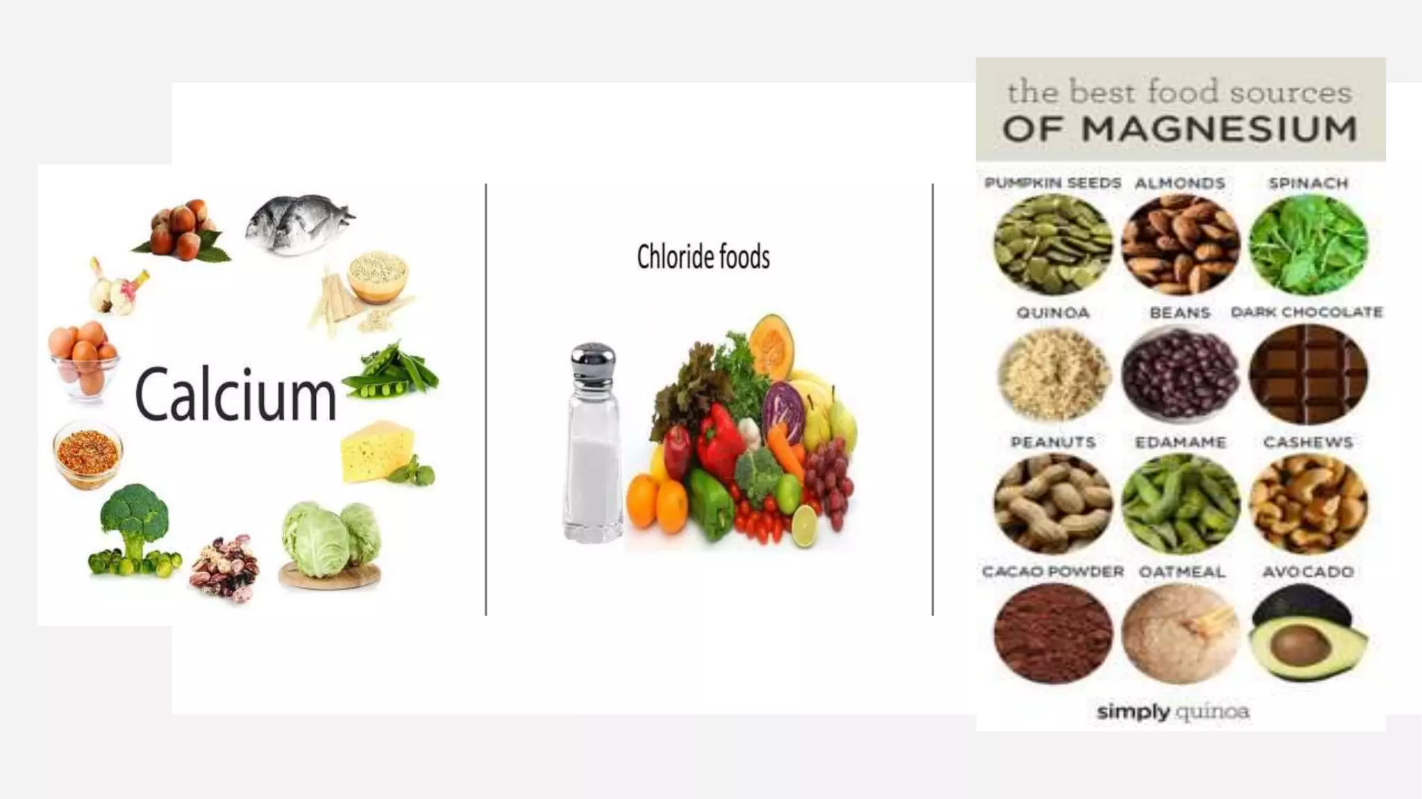 Major Nutrients | PPT