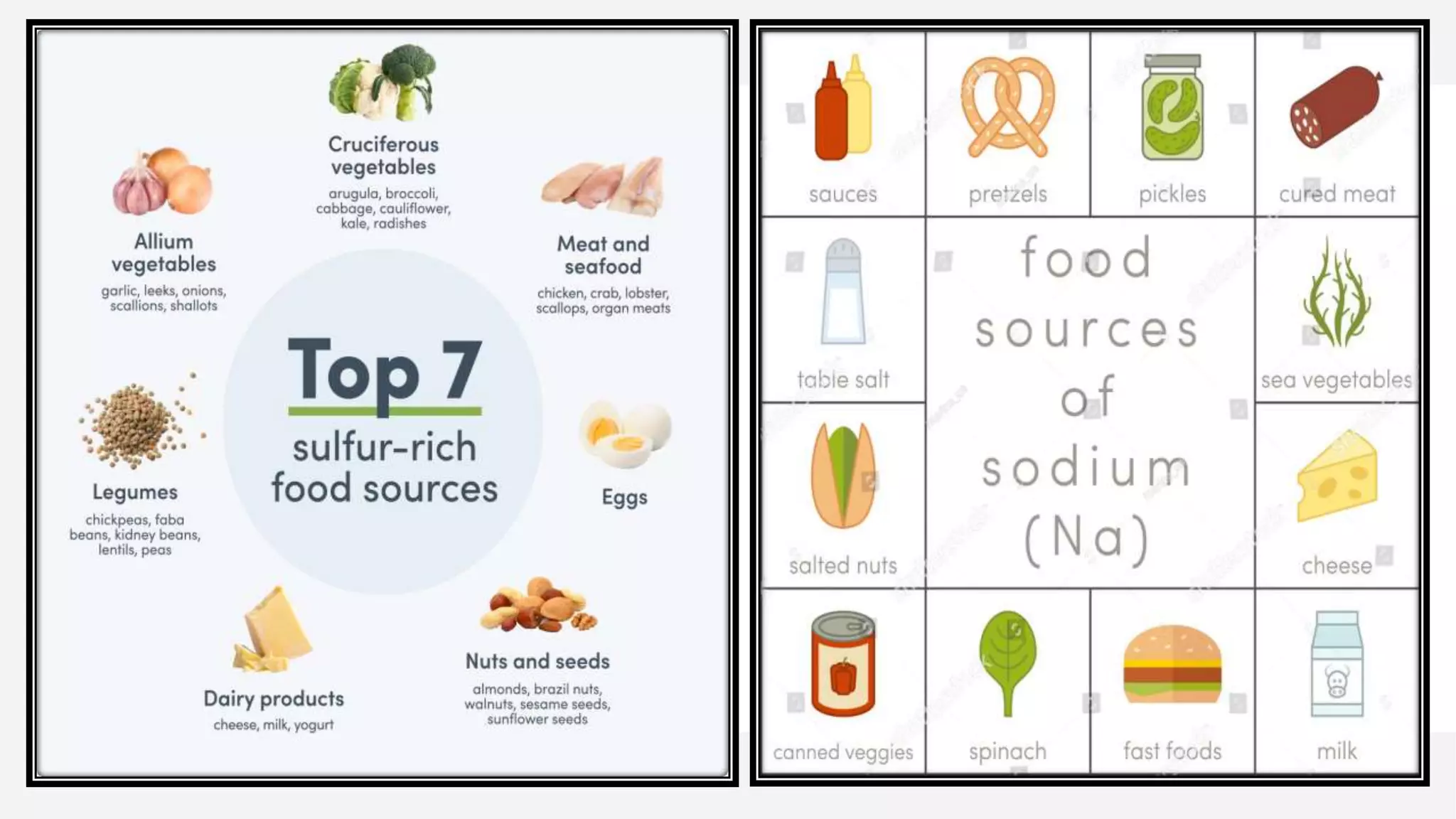 Major Nutrients | PPT