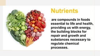 Major Nutrients | PPT