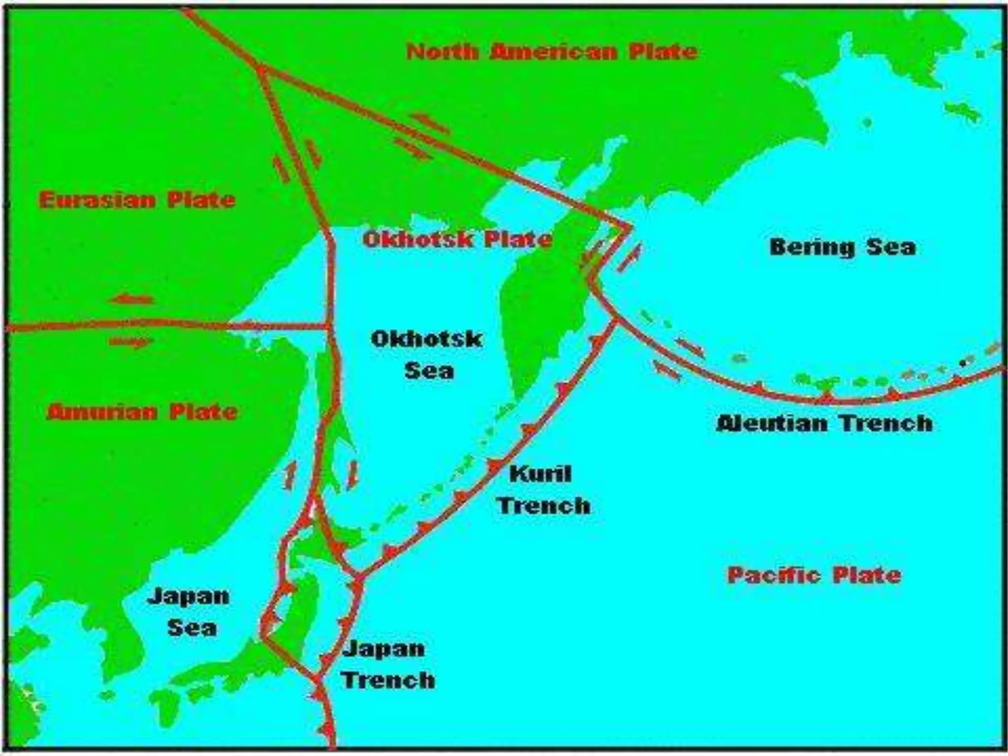 Major oceanic trenches | PPTX