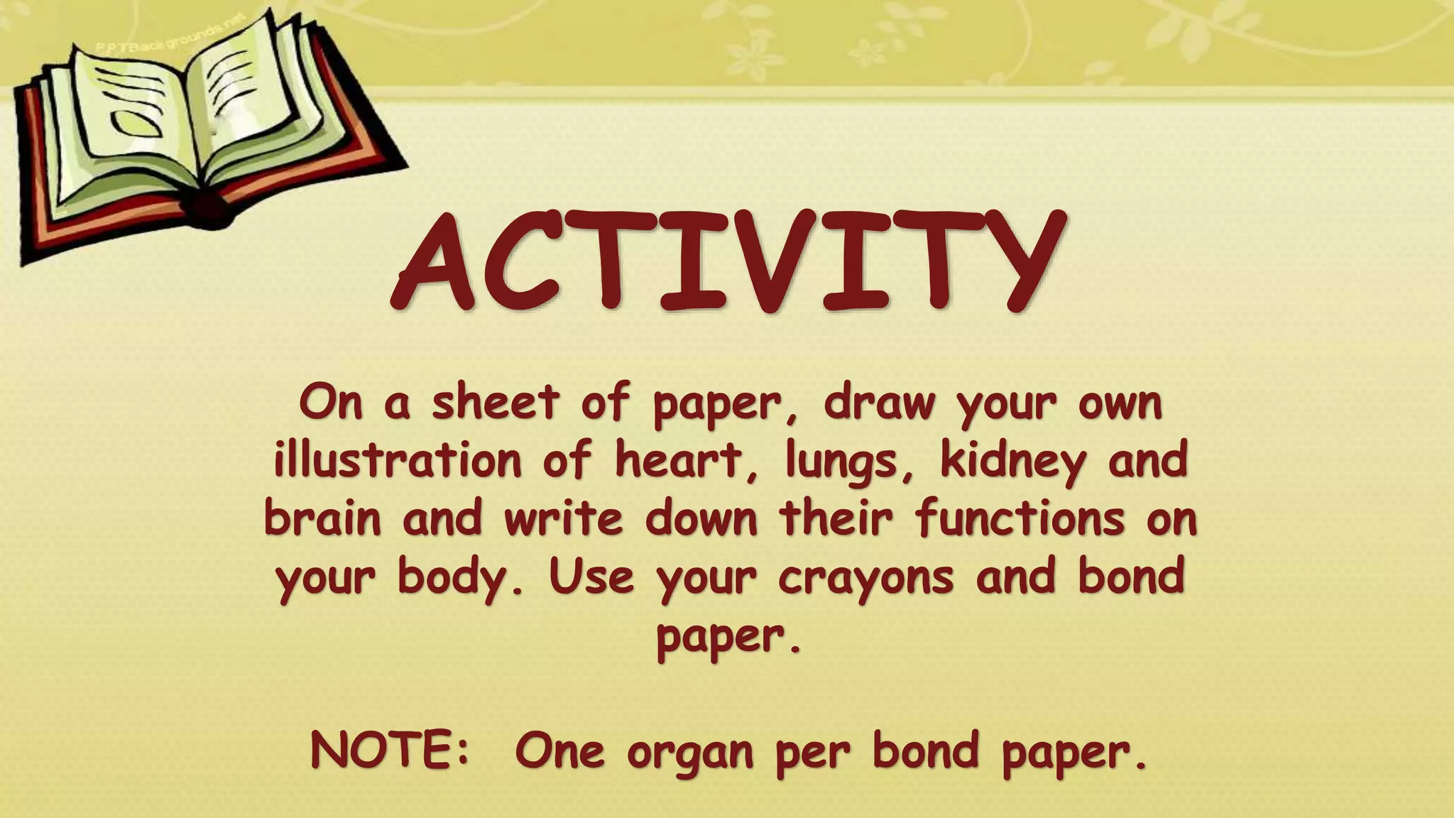 MAJOR ORGANS.pptx | Free Download