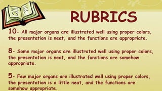 MAJOR ORGANS CLASSROOM OBSERVATION PRESENTATION | PPTX