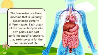 Major organs of the body PRESENTATION REPORT | PPT