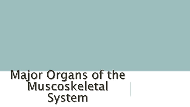 Major organs of the muscoskeletal system | PPTX