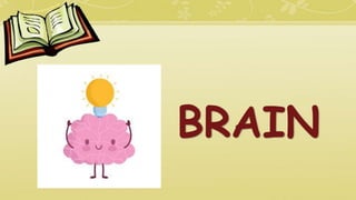 MAJOR ORGANS .............(SCIENCE).pptx