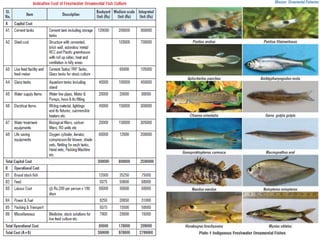 Major Ornamental fish Exporters contact details in India by B | PPTX