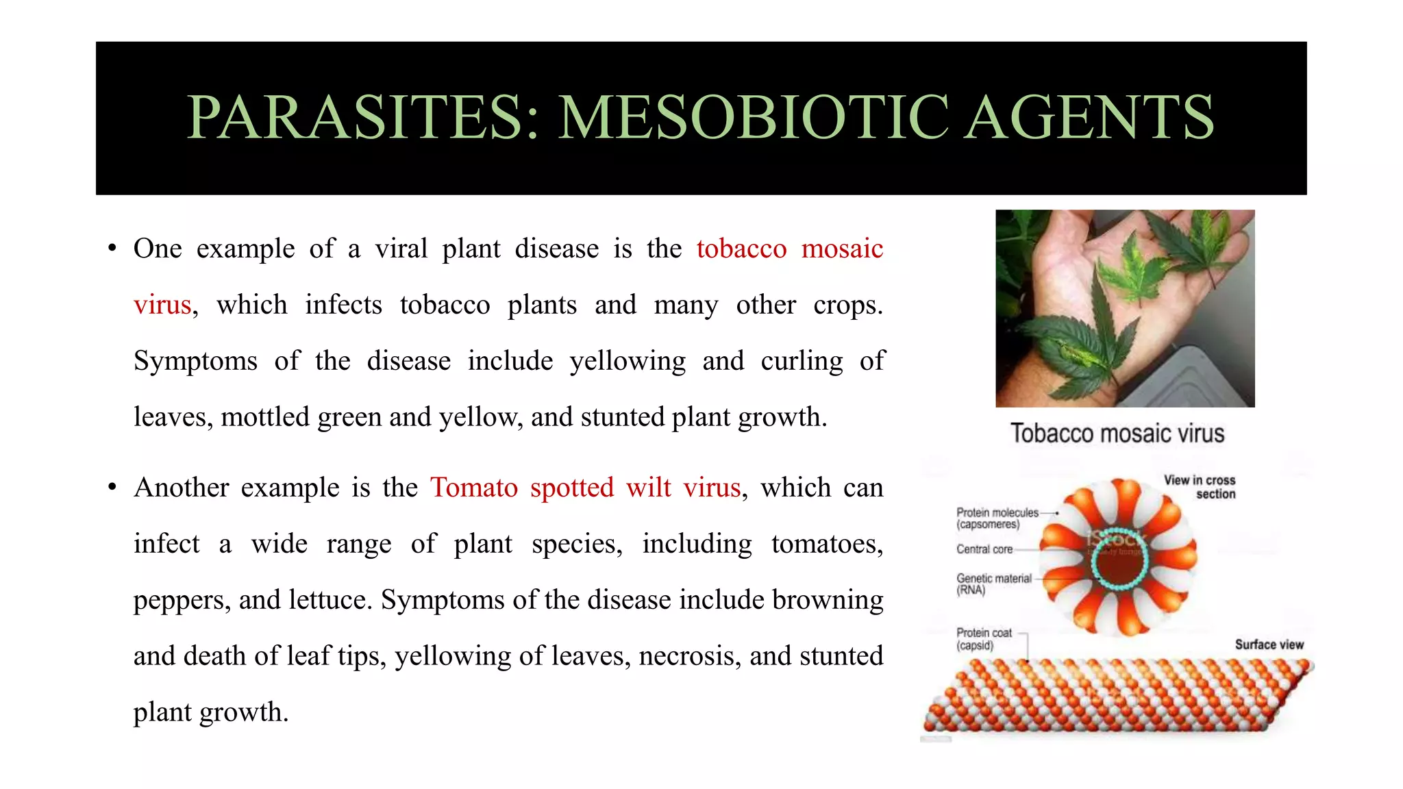 Agents of plants diseases.pptx