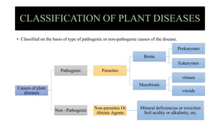 Agents of plants diseases.pptx