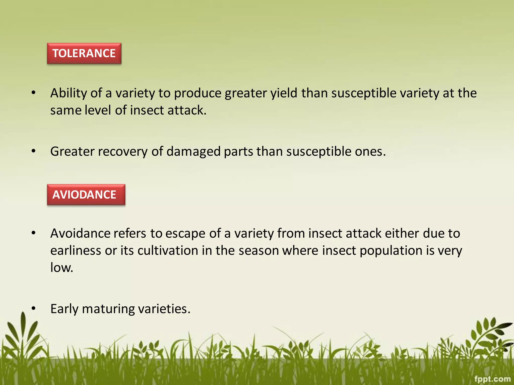 Breeding for Major Insect Pests Resistance in Rice | PDF